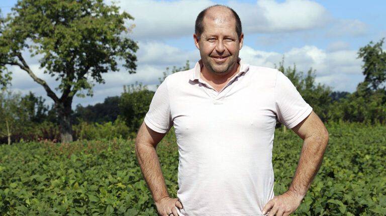 THOMAS WIESNER BEERENUND SPARGELKULTUR BOTTMINGEN – WO BEERE UND ...